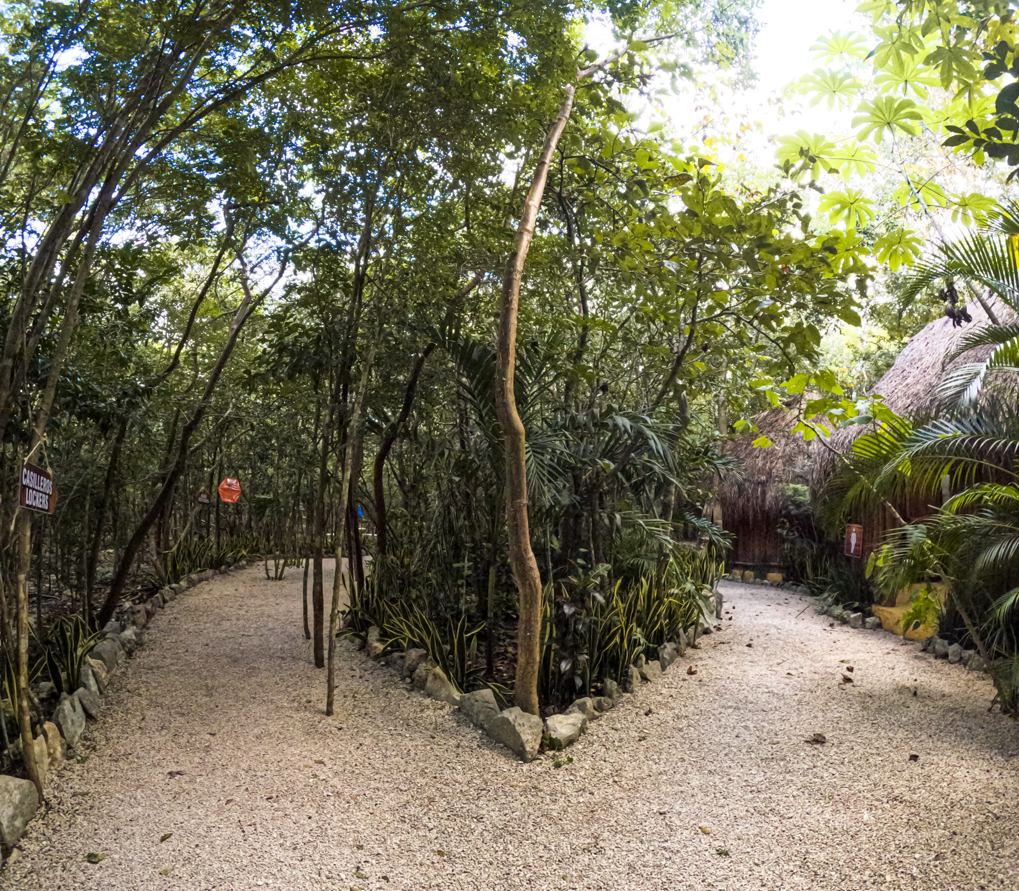 #5 / Los aluxes en la mitología maya - Cenote Xunáan